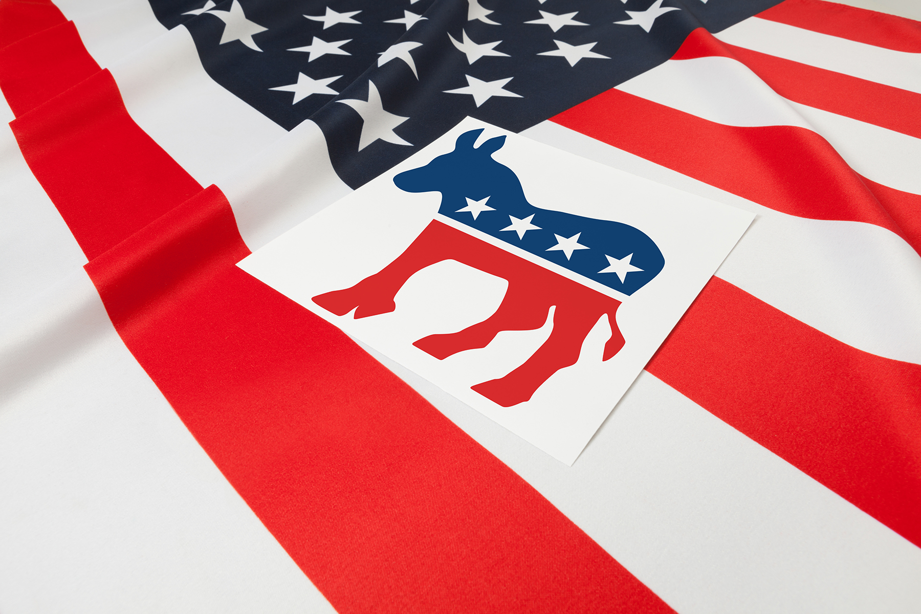 The US Democratic Party — Left Right and Center